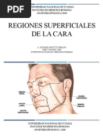 Región Geniana o Región de La Mejilla | PDF | Anatomía | Anatomía humana