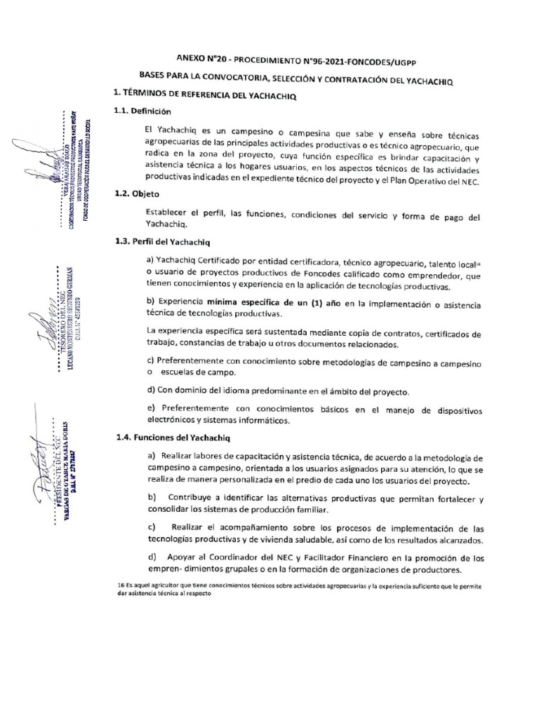 Anexo N10 Bases Conv Nec Utco | PDF