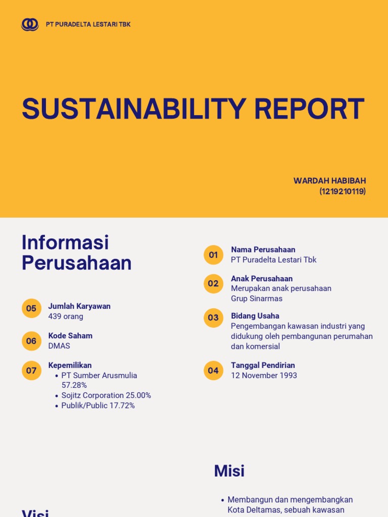 Resposibility Report and Annual Report - DMAS | PDF