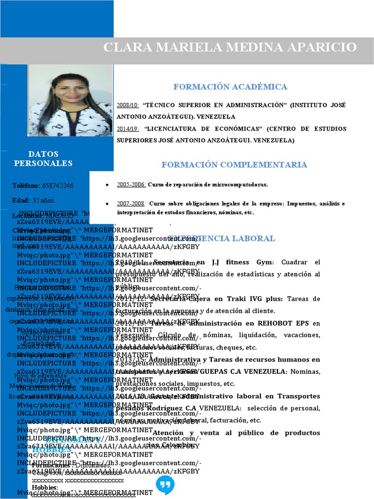 Curriculum Clara | PDF | Economias | Business