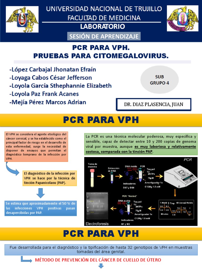 Grupo C4 Sesión de Aprendizaje N°13 - PCR para VPH y Pruebas para CMV ...