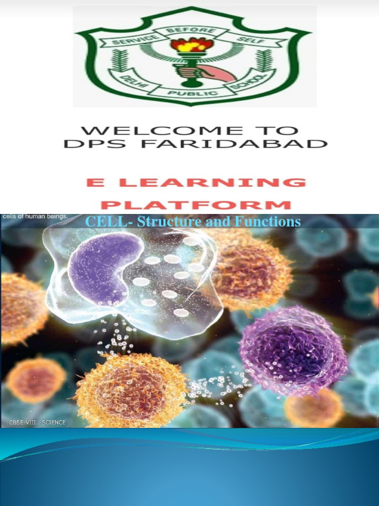 Cell Structure and Functions PPT 5 | PDF | Mitochondrion | Endoplasmic ...