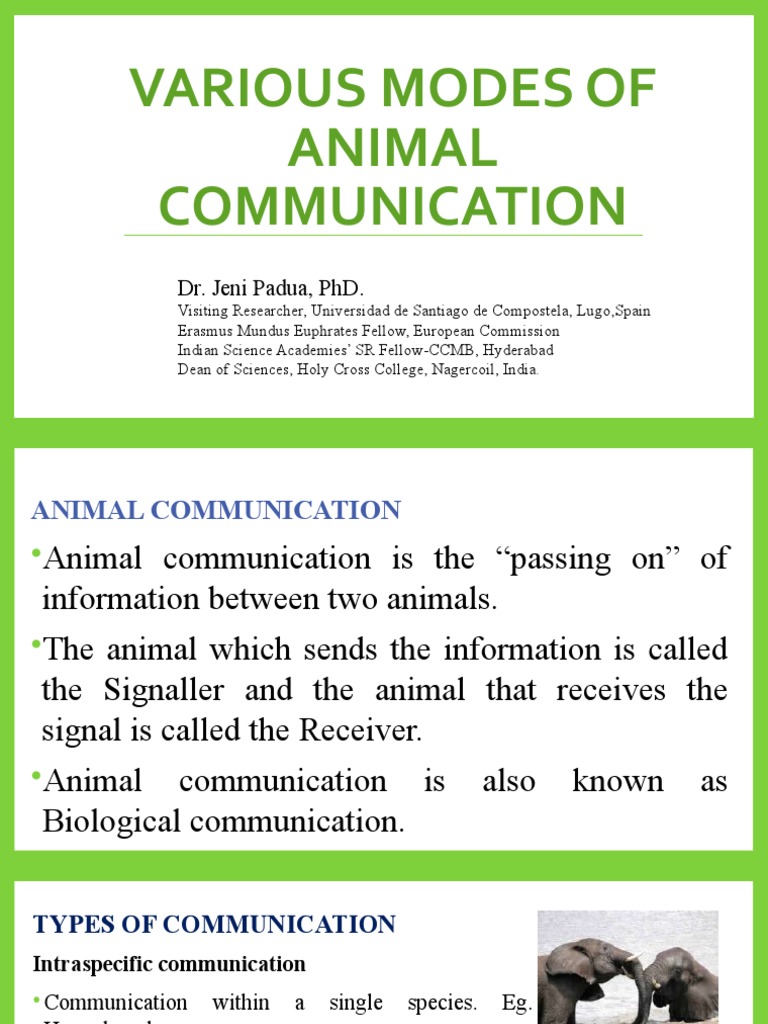 Animal Communication - Dr. Padua | PDF | Pheromone | Biology