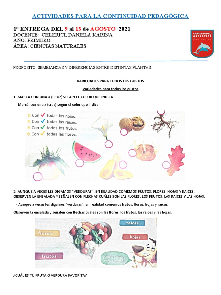 Actividades de Ciencias Naturales 1° Año | PDF | Arboles | Plantas