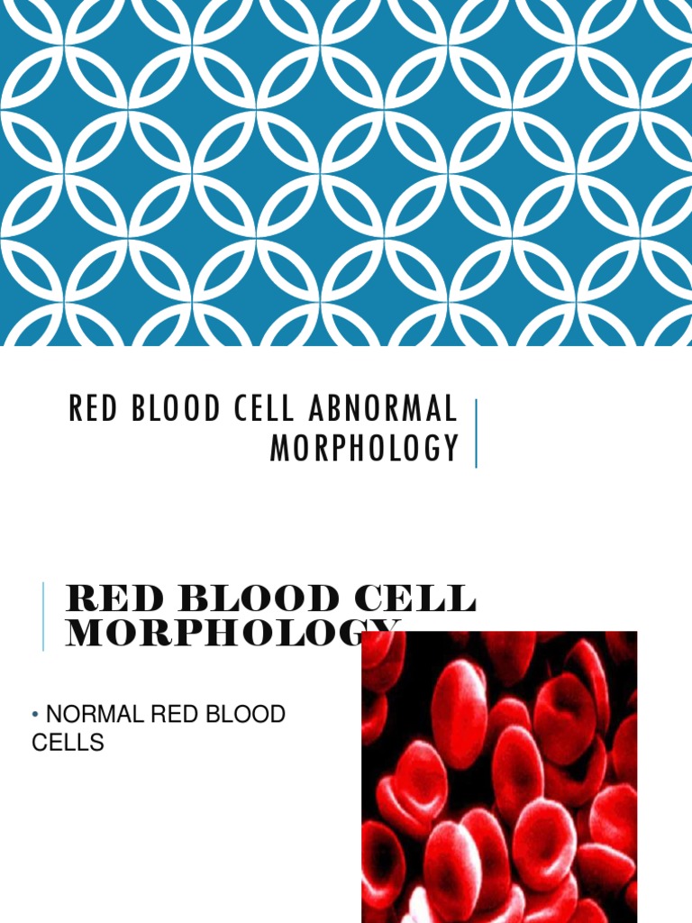 RBCs - Abnormal - Morphology Final | PDF | Anemia | Red Blood Cell