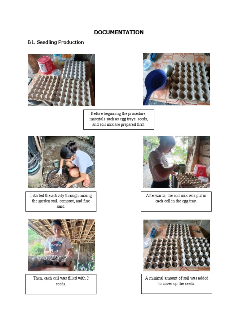 Lab 3 B1 Documentation | PDF