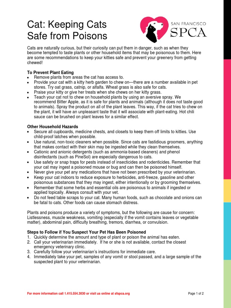 Cat - Common Household Poisons | PDF | Poison | Cats