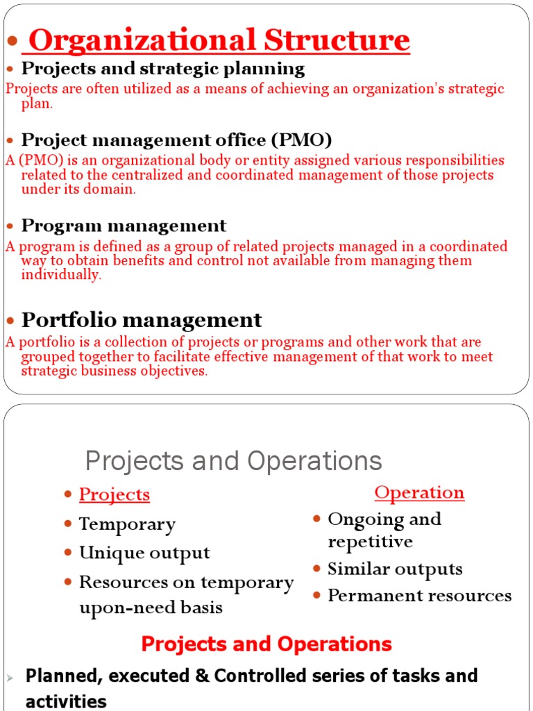 Organizational Structure | PDF | Organizational Structure | Project ...