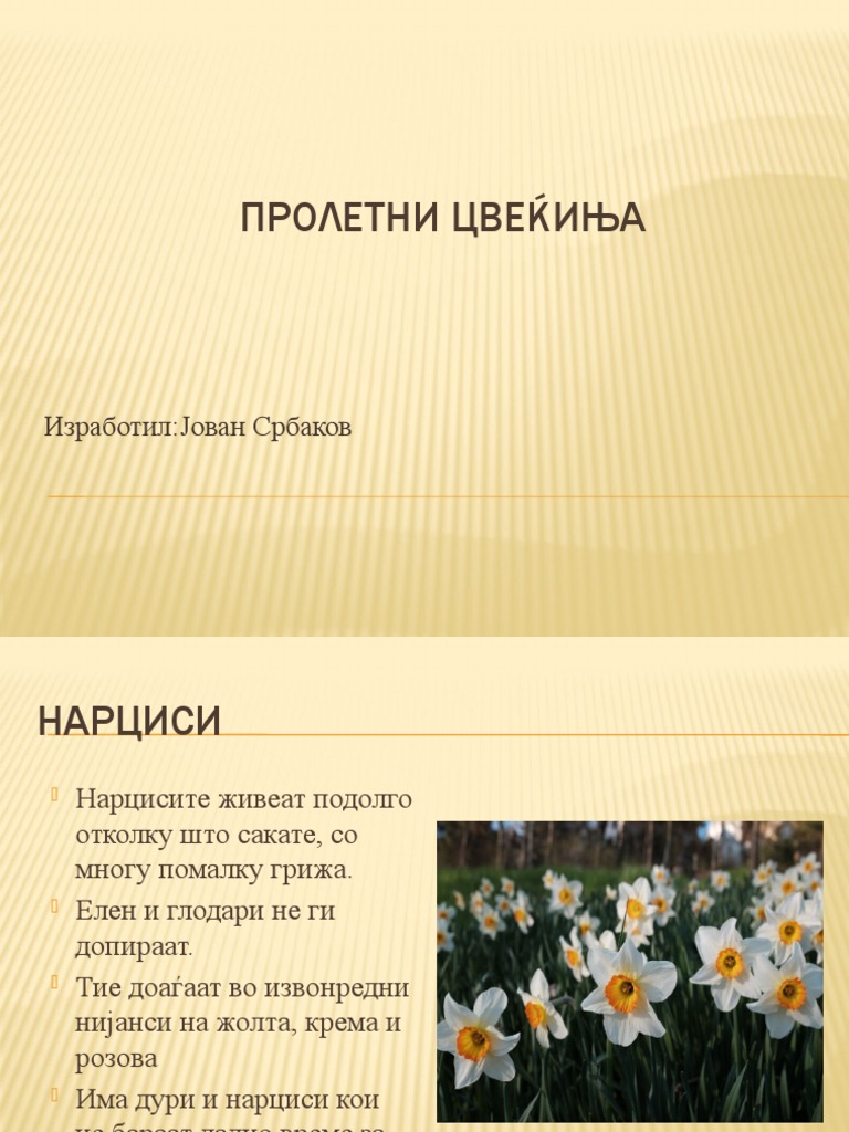 Proletni Cvekinja | PDF