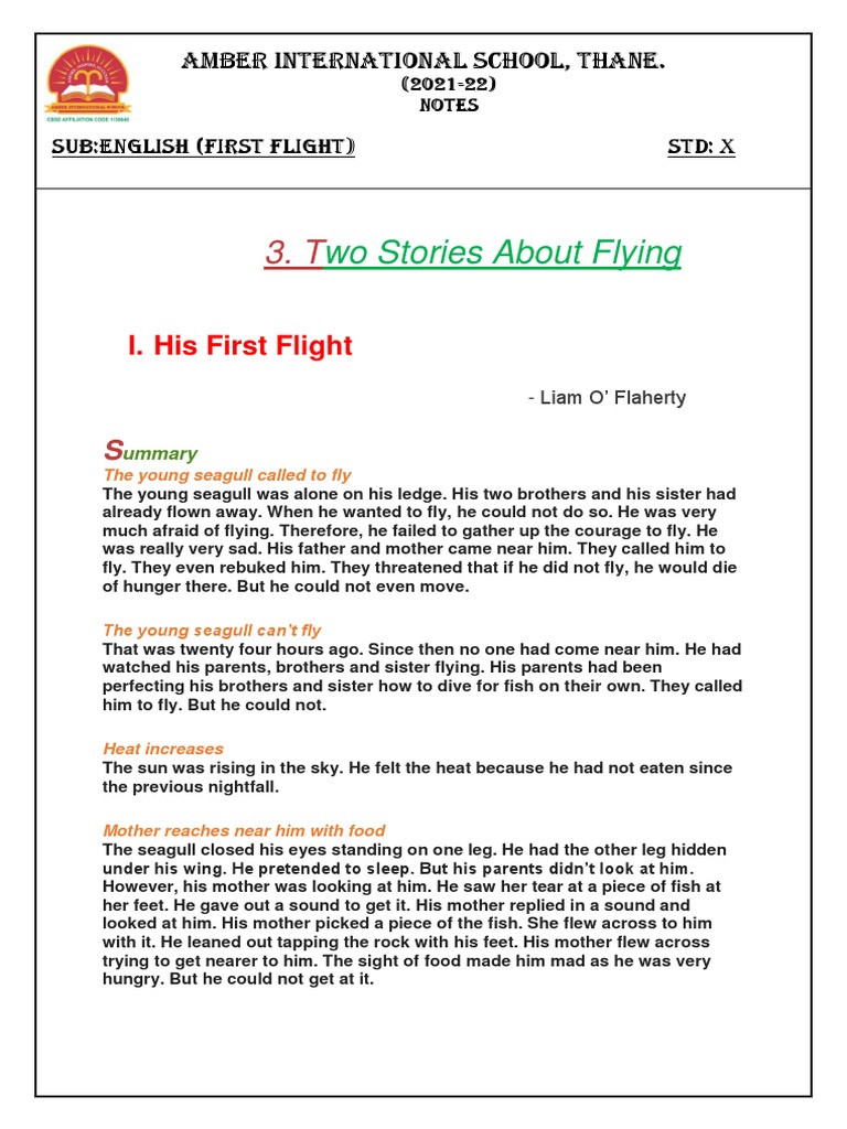 Two Stories About Flying | PDF | Language Arts & Discipline | Poetry