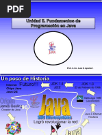 Infografia Lenguaje Java | PDF