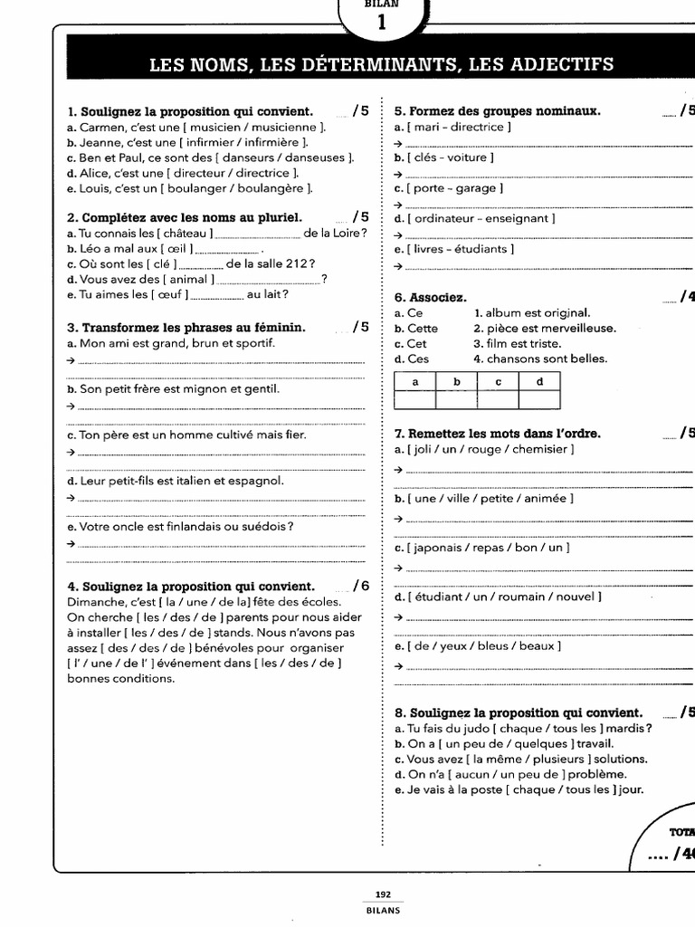 Bilan 1 Les Noms Les Déterminants Et Les Adjectifs | PDF | Échecs