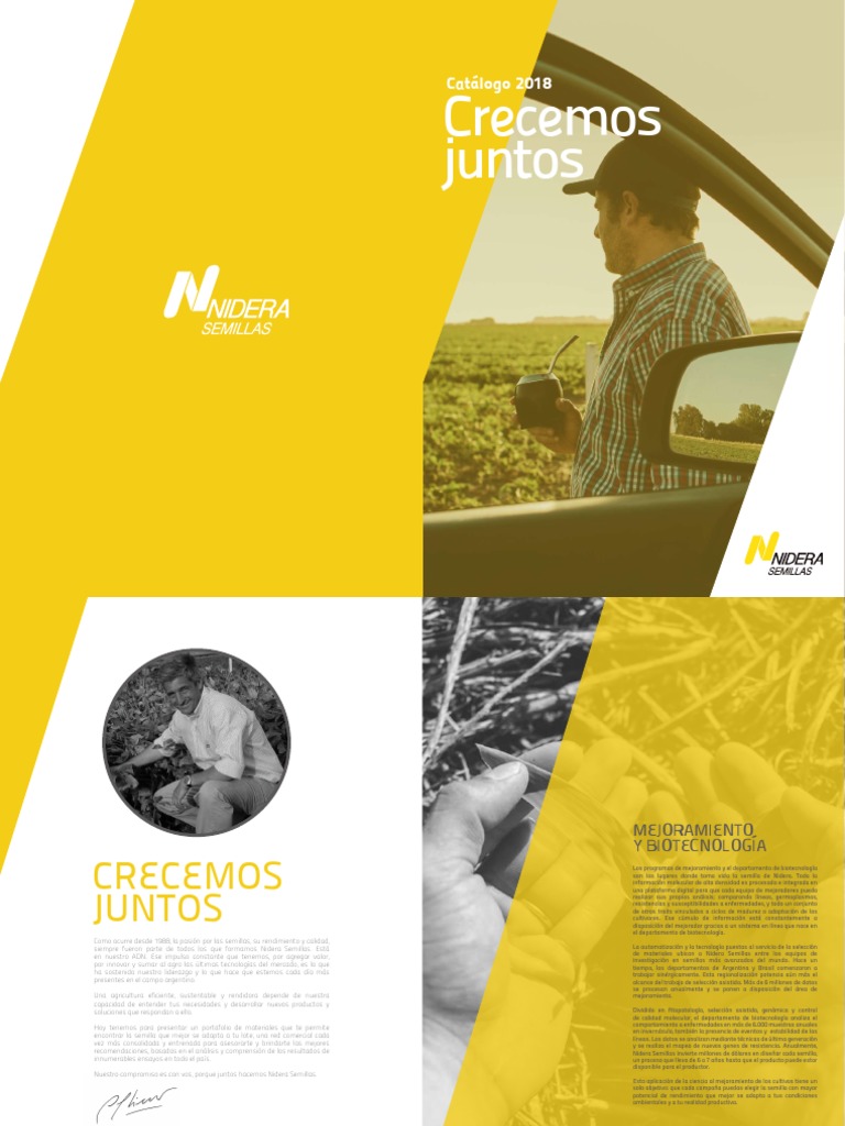 Soja Nidera 17 | PDF | Agricultura | Plantas