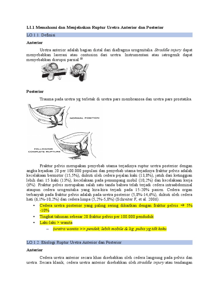 PBL l3 Sk3 Blok Emergency | PDF