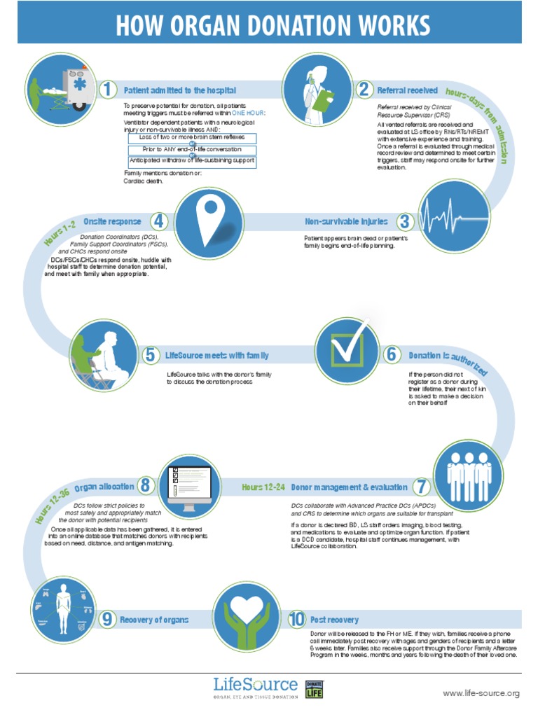 Organ Donation Process | PDF | Organ Donation | Health Sciences