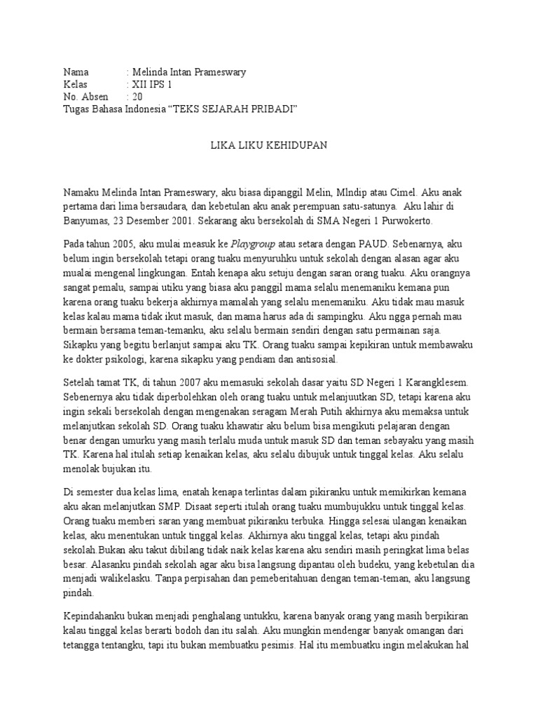 Contoh Teks Sejarah Pribadi | PDF