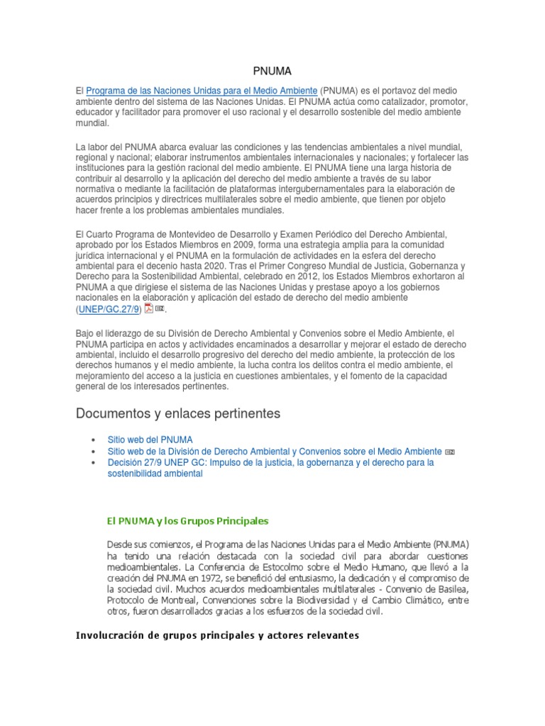 PNUMA: Promotor del Medio Ambiente Global | PDF | Naciones Unidas ...