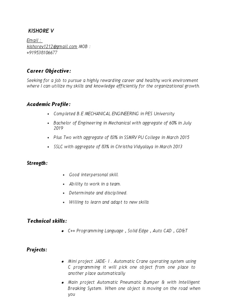 Kishore Resume | PDF | Digital Marketing | Cyberspace