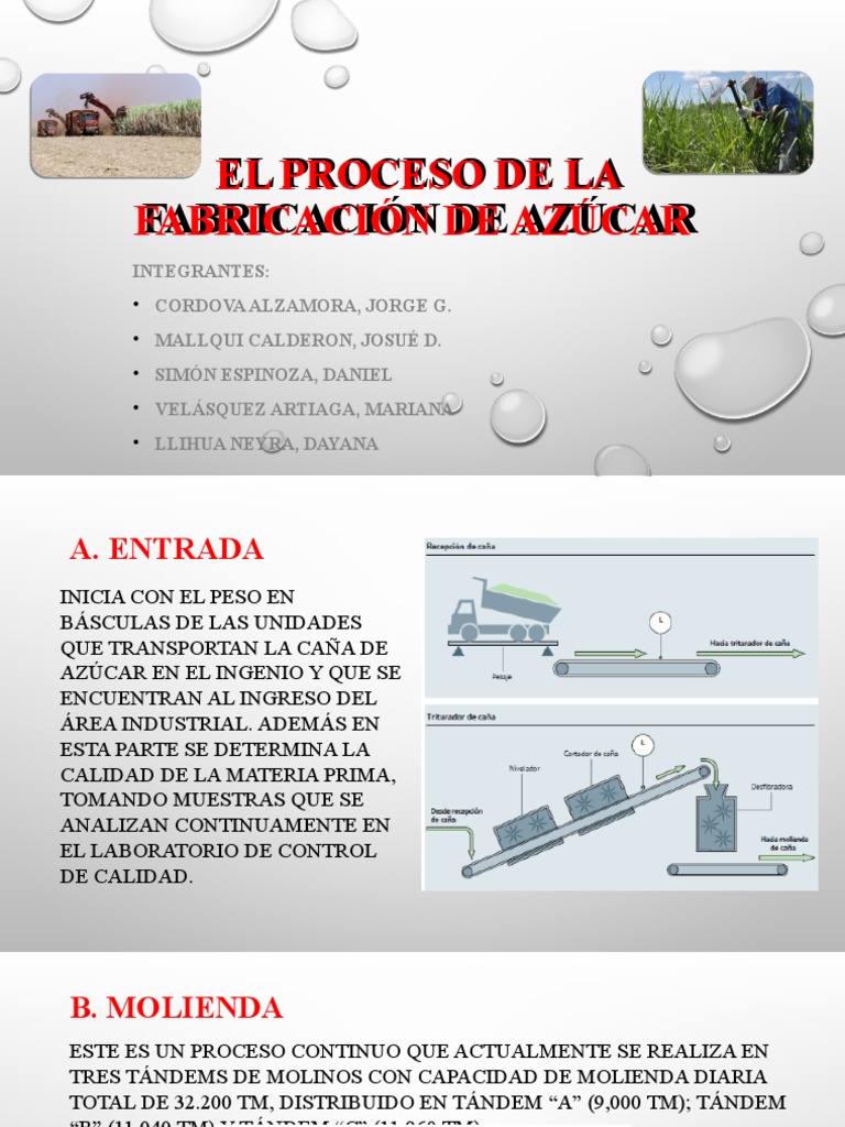 El Proceso de La Fabricación de Azúcar | PDF | Azúcar | Dieta y nutrición