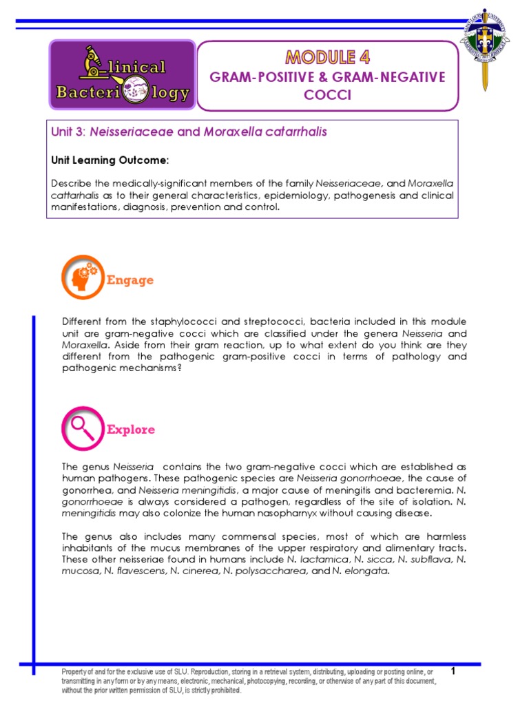 Gram-Positive & Gram-Negative Cocci: Unit 3: Neisseriaceae and ...