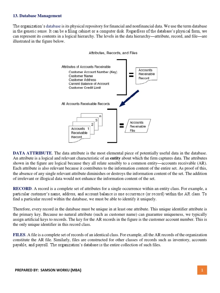 Database Management | PDF | Databases | Information Technology