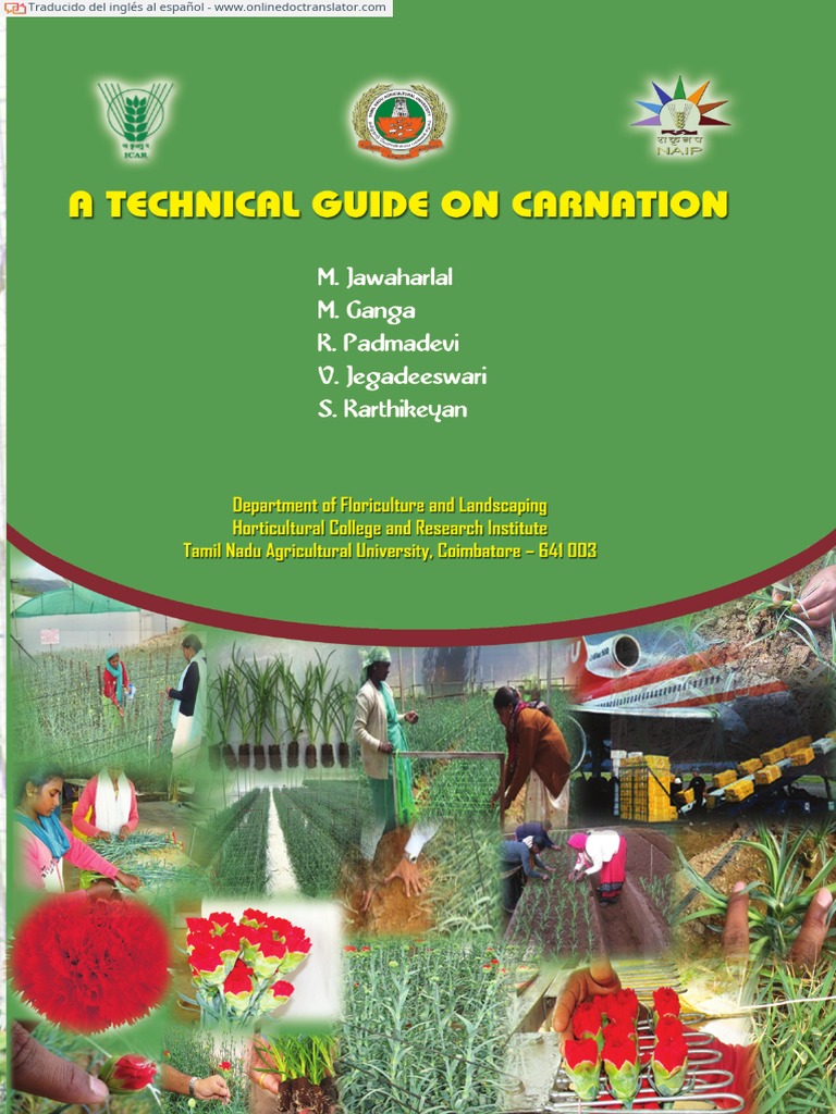 A Technical Guide On Carnation - En.es | PDF | Flores | Riego