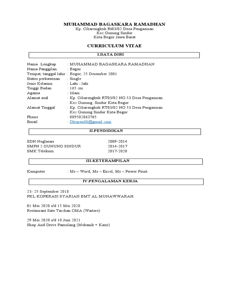 CV Bagas | PDF