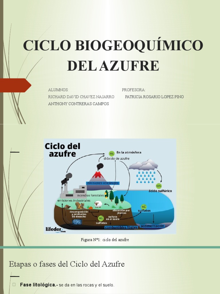 Ciclo Del Azufre | PDF