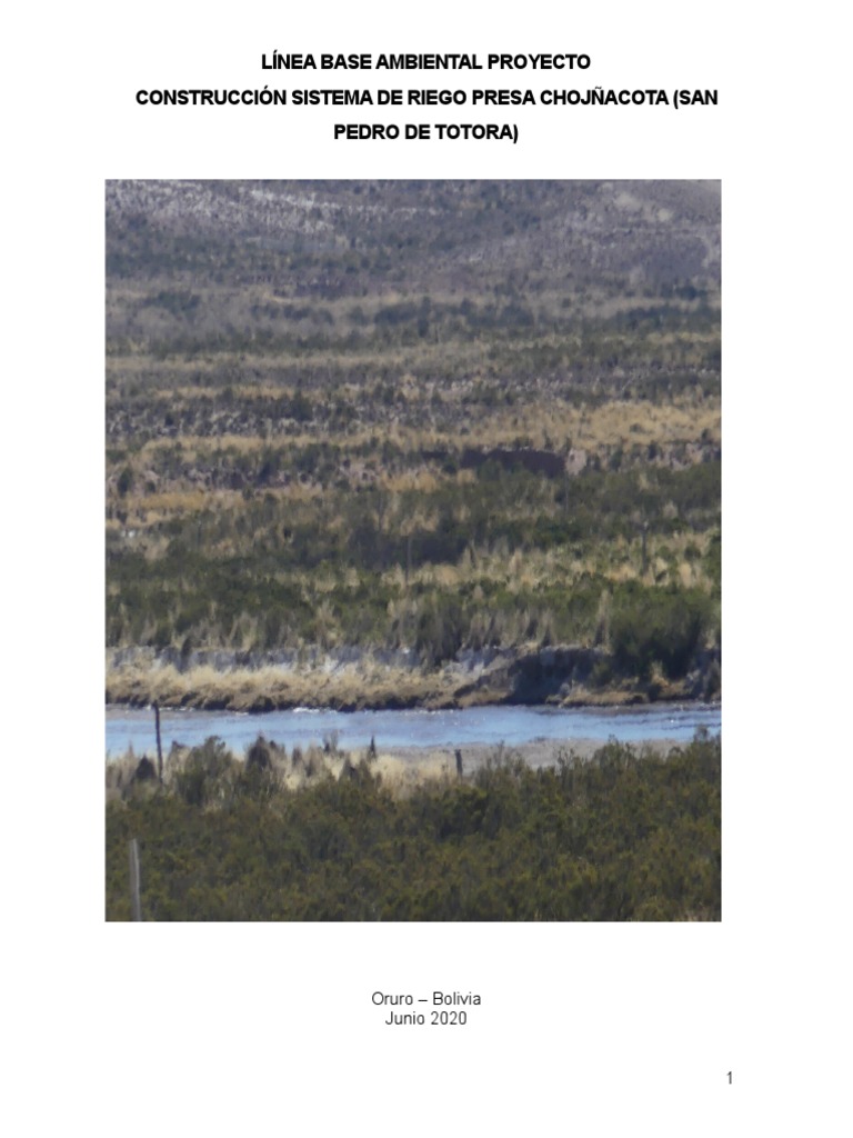 Línea Base Ambiental Proyecto | PDF | Riego | Erosión