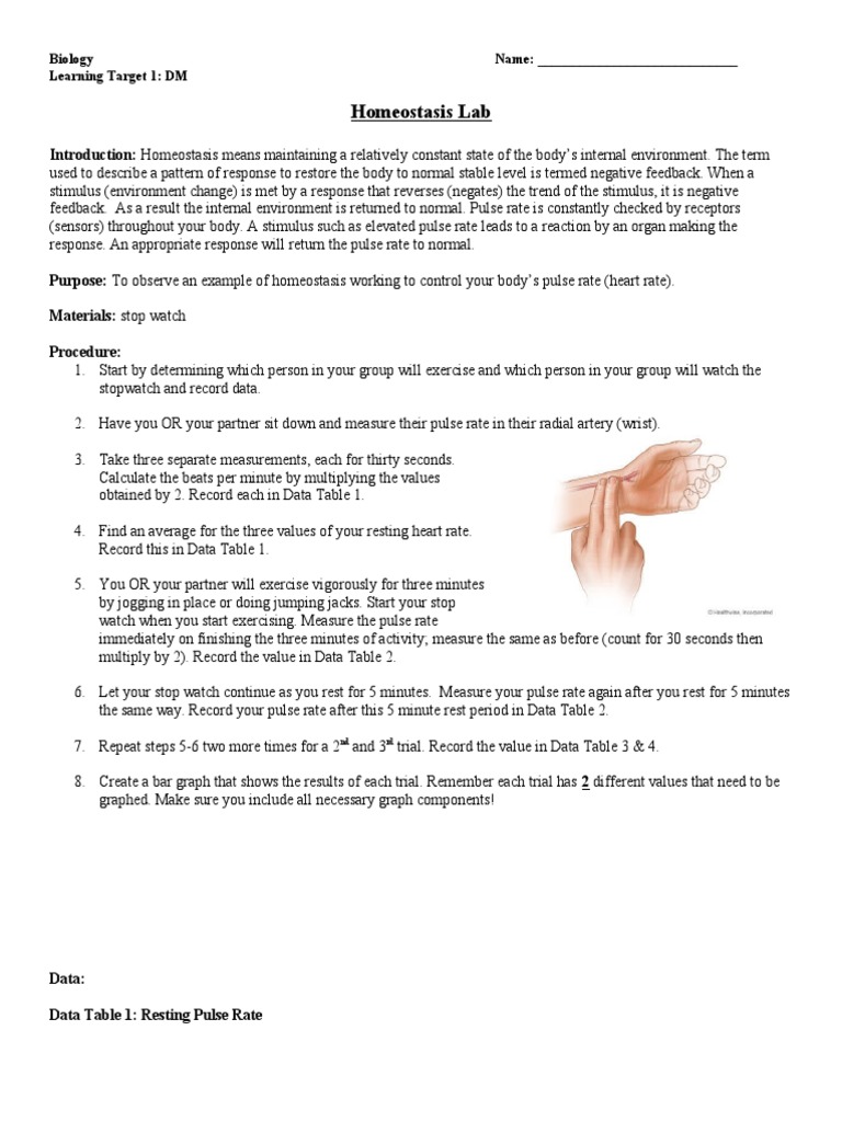 Homeostasis Lab: Biology Name: - Learning Target 1: DM | Download Free ...