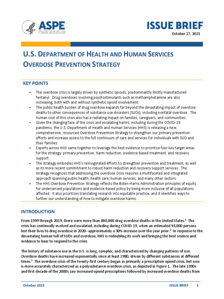 Overdose Prevention Strategy | PDF | Preventive Healthcare | Substance ...
