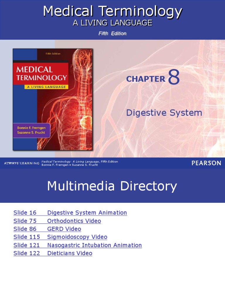 Digestive System Medical Terminology | PDF | Human Tooth | Human ...