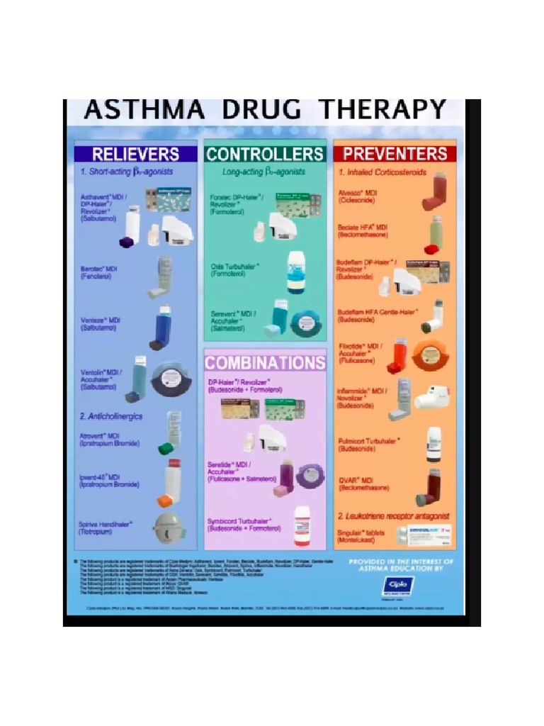 Asthma Drug Therapy | PDF