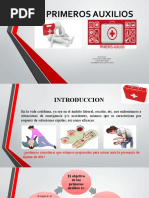 Cartilla de Primeros Auxilios MINSA | PDF | Herida | Quemar