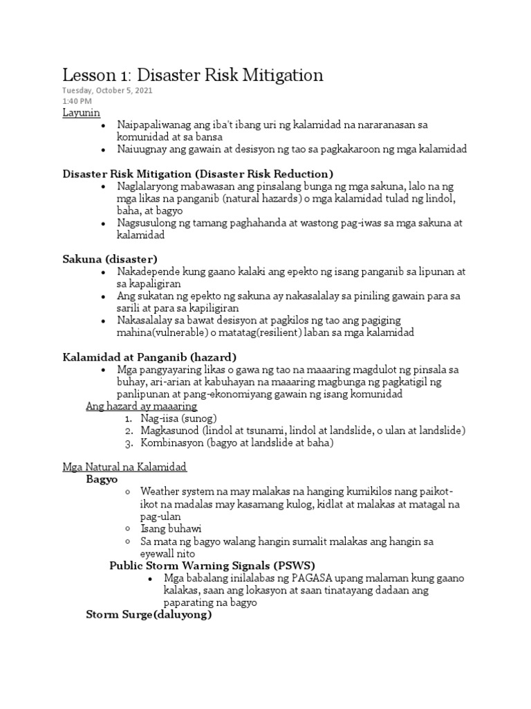 Disaster Risk Mitigation | PDF