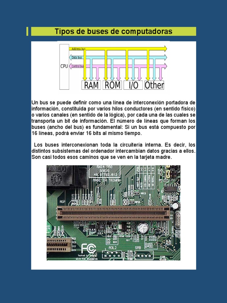 Tipos de Buses en Computadoras | PDF | Hardware de la computadora | Unidad Central de procesamiento