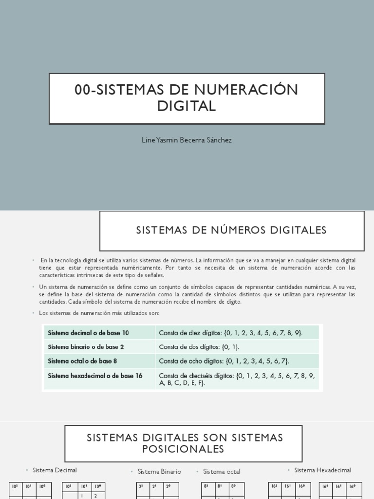00-Sistemas de Numeración Digital | PDF | Poco | Byte