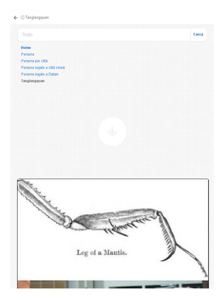 Seven Northern Mantis Principles | PDF