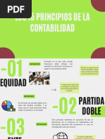 Ejemplos del Principio de Equidad Contable | PDF | Contabilidad | Economias