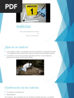 Clasificación de Los Indicios | PDF | Naturaleza | Física