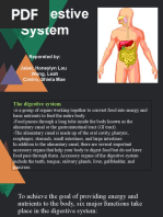 Digestive System Grade 8 Lecture | PDF | Digestion | Stomach