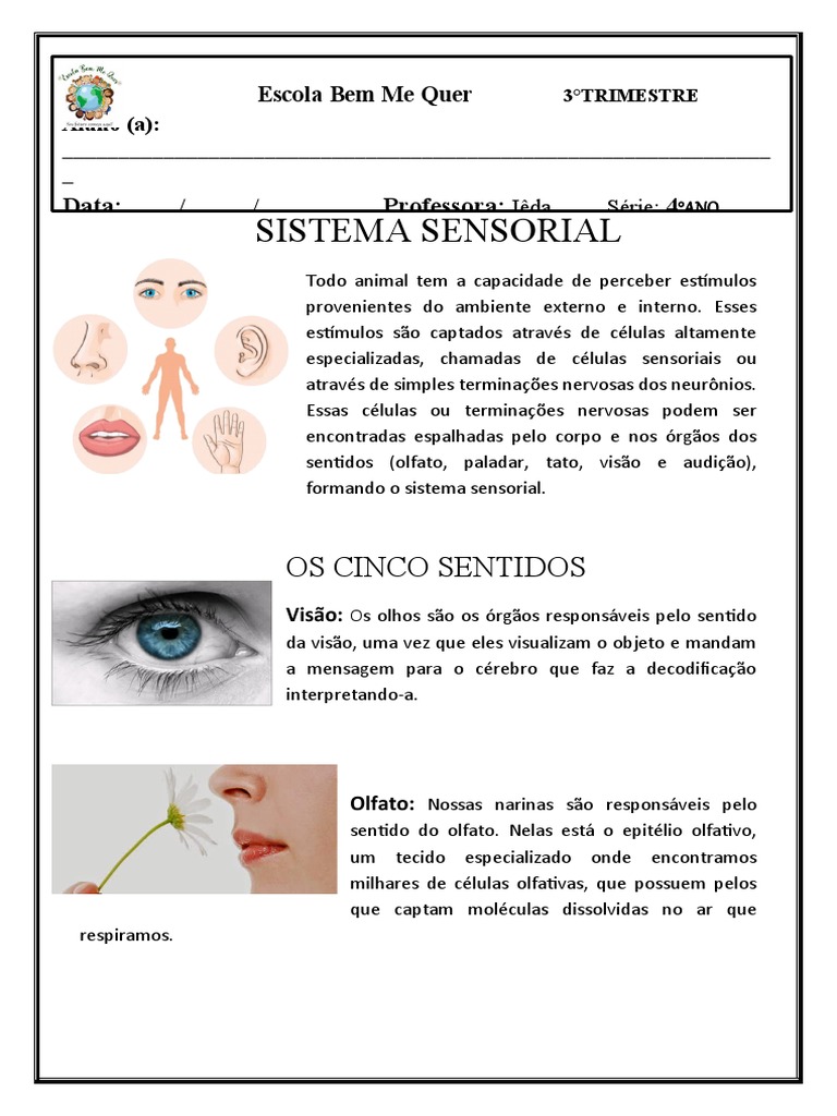 Os Cinco Sentidos: Como Percebemos o Mundo ao Nosso Redor | PDF | Gosto ...