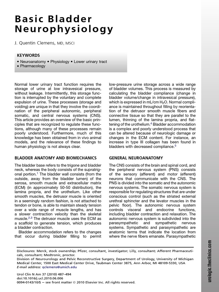 Overview of Bladder Neurophysiology | PDF | Spinal Cord | Nerve