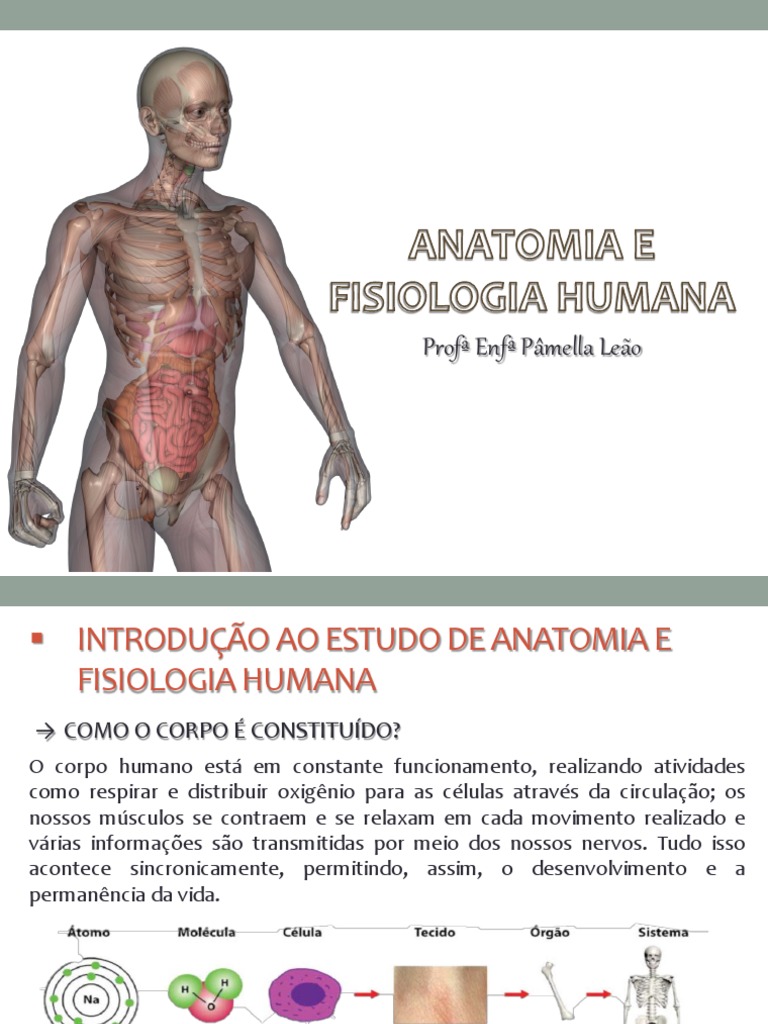 1 Aula - Anatomia e Fisiologia Humana | PDF | Anatomia | Corpo humano