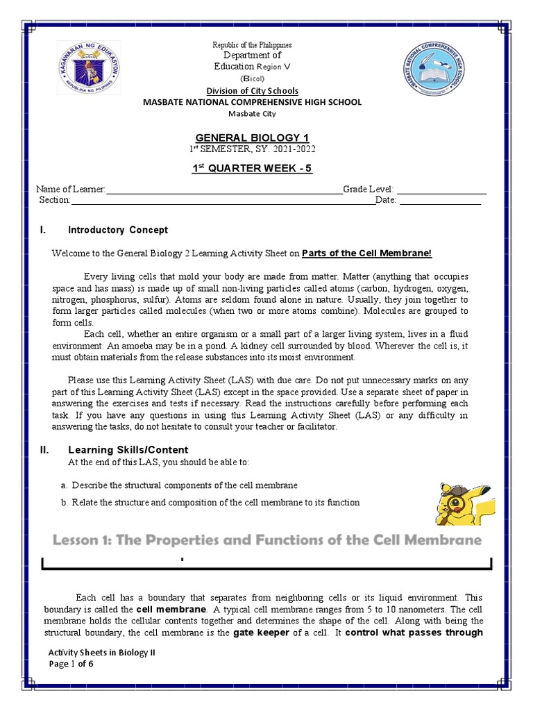 Gen. Bio. Week 5 - Lesson 9 | PDF | Cell Membrane | Phospholipid