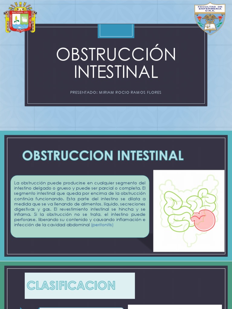 Obstrucción Intestinal | PDF | Intestino delgado | Obesidad