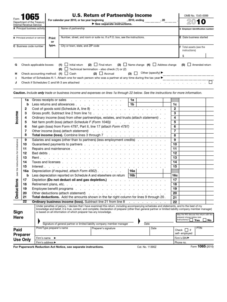 2010 Blank IRS Form 1065 | Download Free PDF | Partnership | Ownership