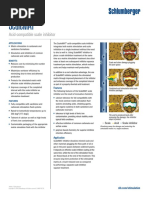 Syllabus Microbial Biotechnology | PDF | Microorganism | Fermentation