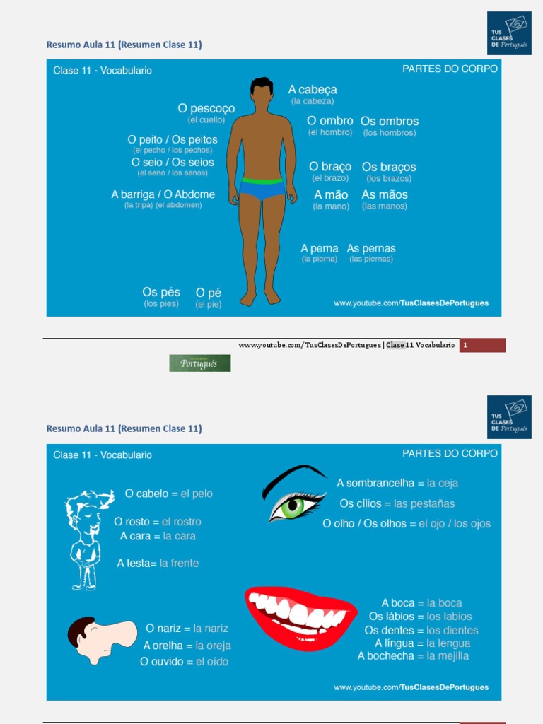 Aula 11.3 - Vocabulário O Corpo Humano - Tus Clases de Portugués | PDF