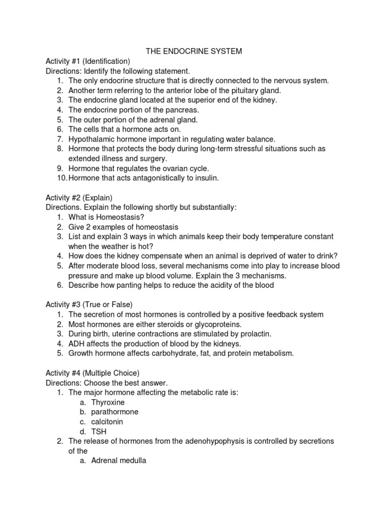 THE ENDOCRINE SYSTEM - Activity | PDF | Endocrine System | Pituitary Gland